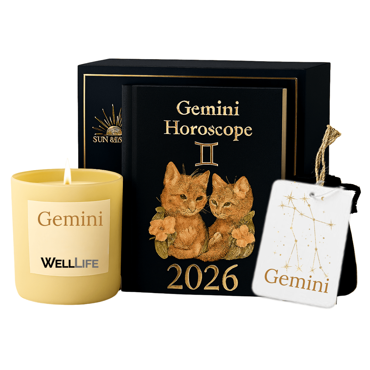 Gemini Horoscope (May 21 - June 20) Book Box – Well Life